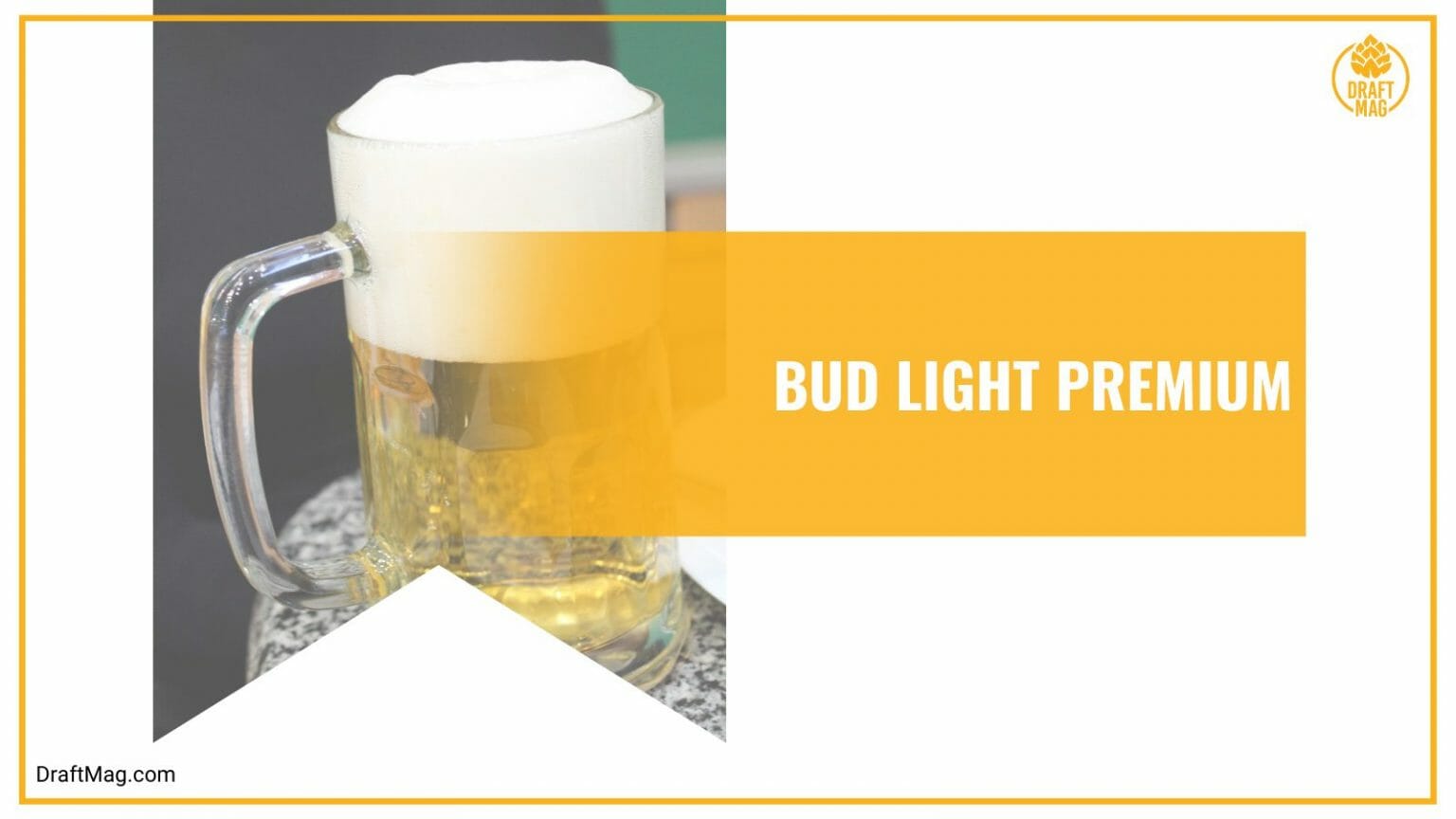 High Alcohol Low Calorie Beer: The Best Guilt-free Beers