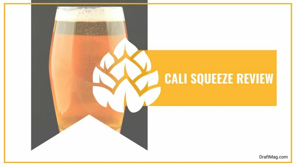 Cali Squeeze Review: Juicy Hefe Bursting With Blood Oranges
