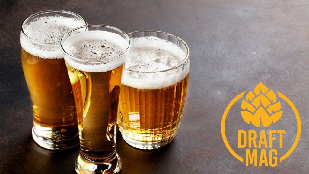 Modelo Limon Y Sal Review: Try This Smooth, Lime-flavored Beer