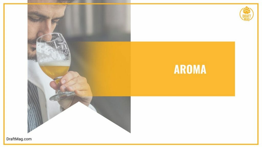 Stone Delicious IPA Review: Learn What This Brew Is All About