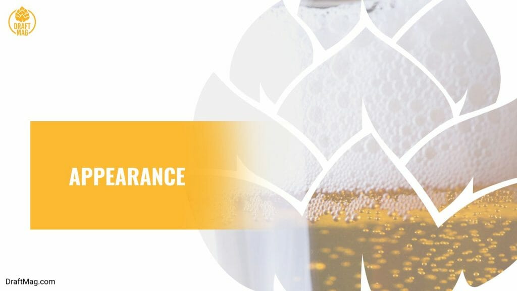 Bud Select 55 Review: A Low-cal Brew for Health-conscious Drinkers