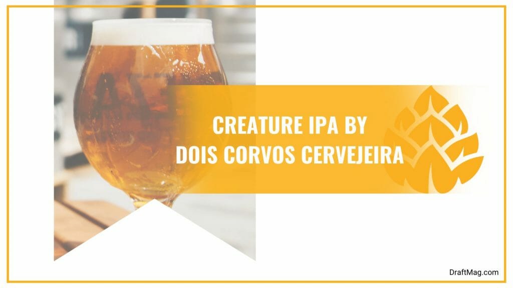 Portuguese Beer: A Guide to Portugal’s Diverse Brews
