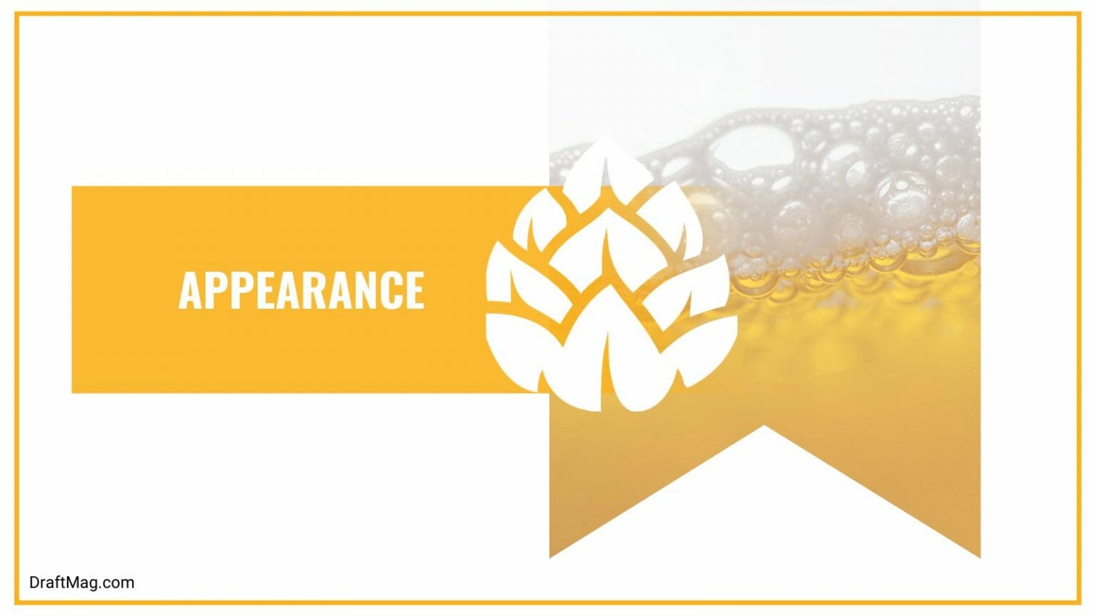 Goose Island 312 Review: A Bright and Crisp Wheat Beer for All