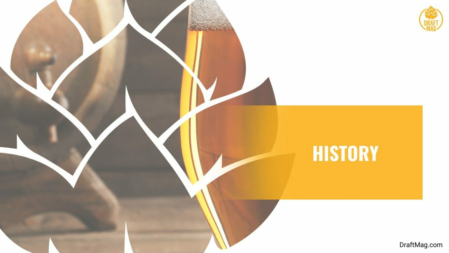 Princess Yum Yum Review: Refreshing and Tart Raspberry Beer