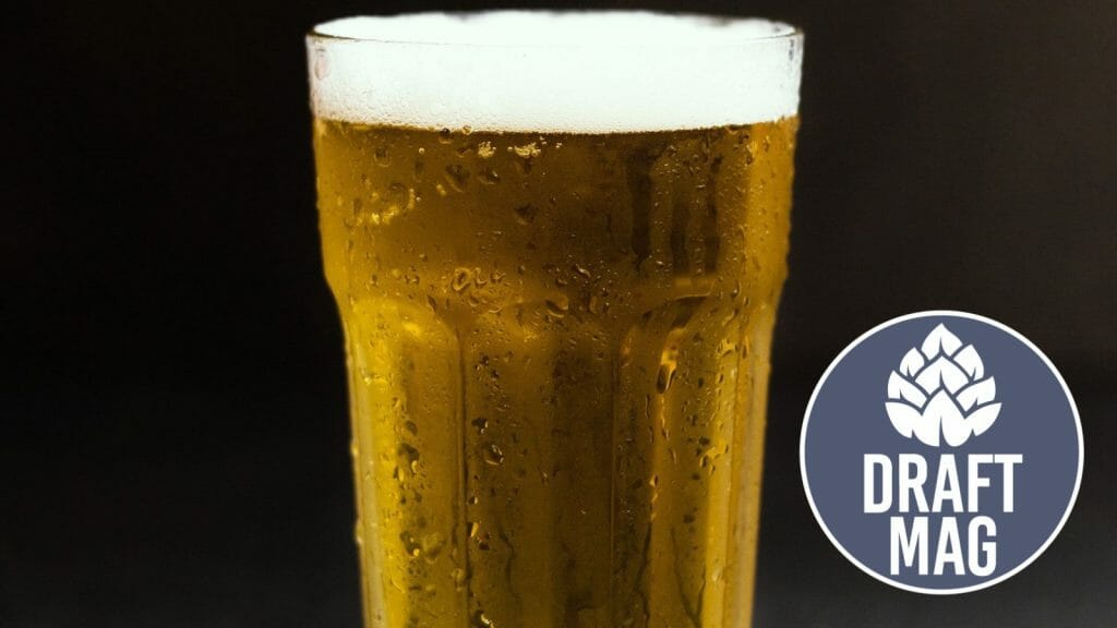 Dos Equis Lime and Salt Review: The Guide to This Mexican Beer Combo