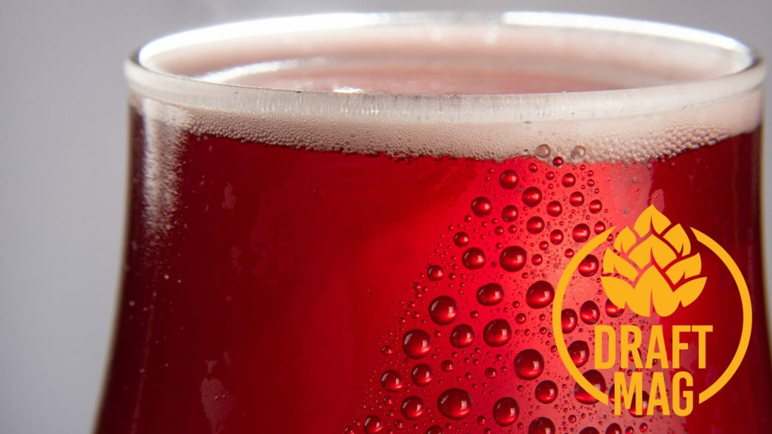 Fiddlehead IPA Review: Why You Can’t Get Enough Of This Vermont IPA