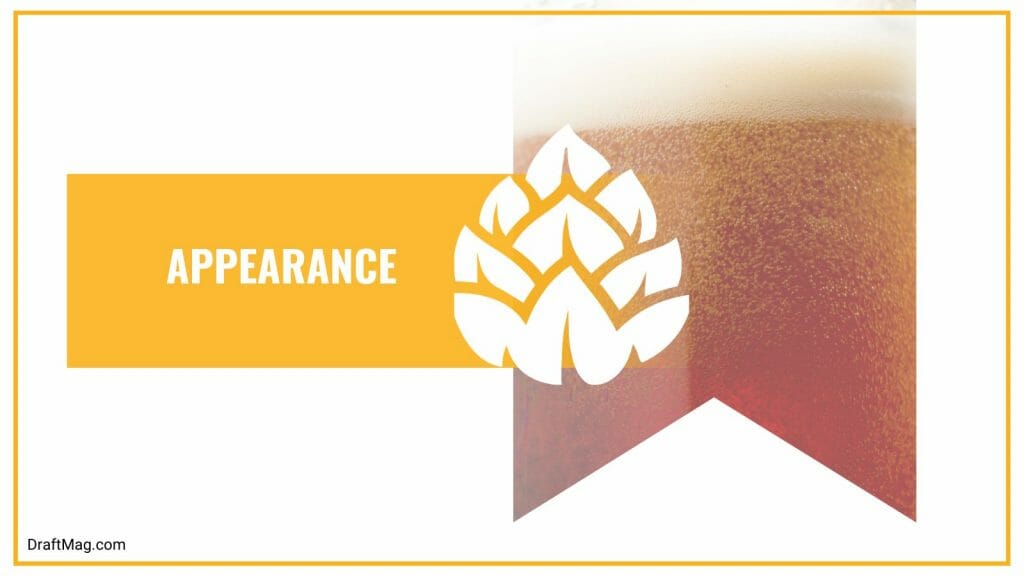 Double Dog IPA Review: Drinkable and Robust Imperial IPA