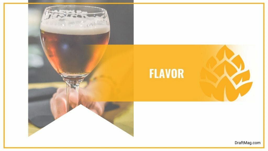 Double Dog IPA Review: Drinkable and Robust Imperial IPA