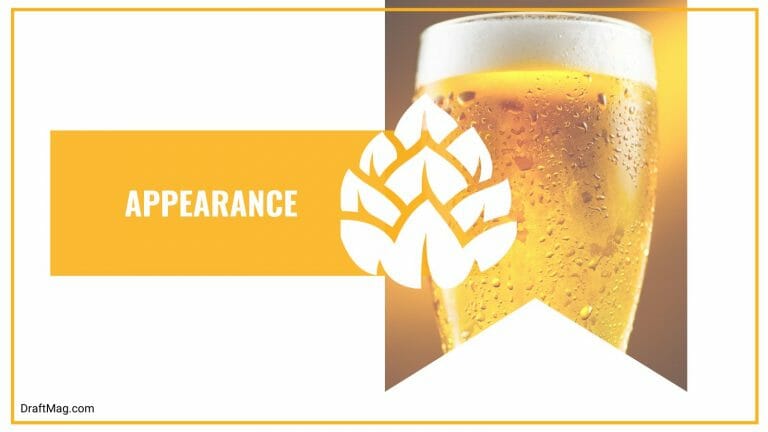 Bud Dry Review: Classic American Lager With Drinkable Body