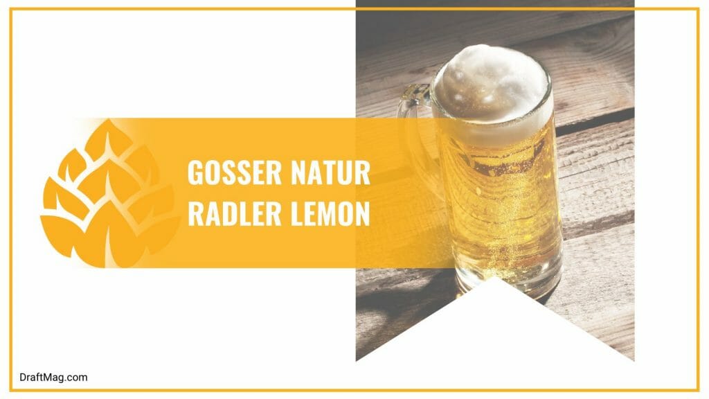 Austrian Beer: A Guide to the Country’s Top-Selling Brews