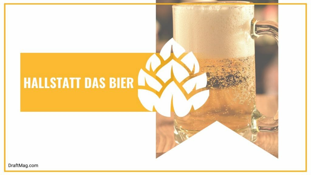 Austrian Beer: A Guide to the Country’s Top-Selling Brews