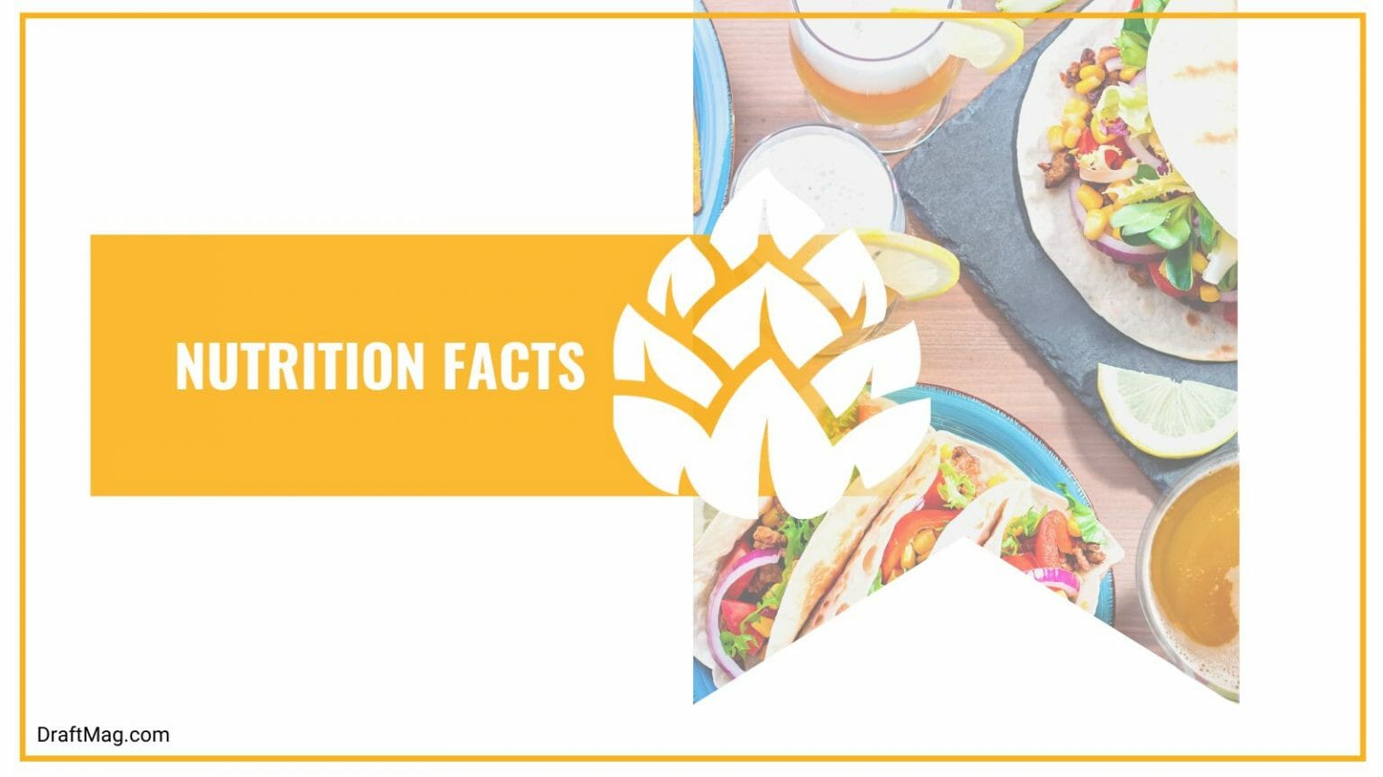 Kilt Lifter Beer Review: A Detailed Look at This Top Scottish Ale