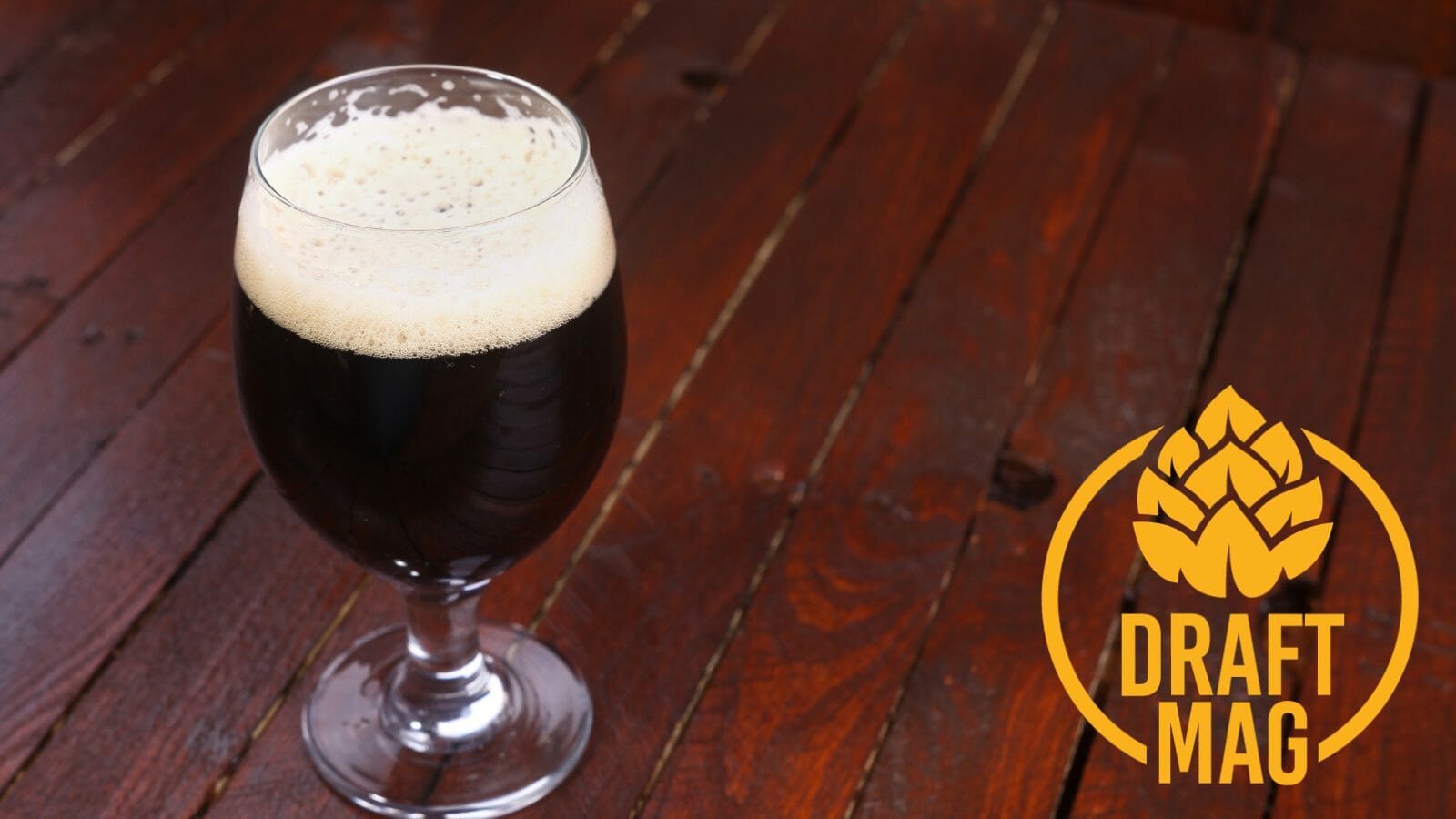 Terra Beer Review: A Close Look at This Top European Pale Lager