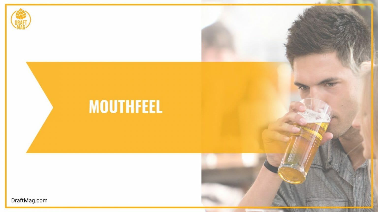 Echigo Beer Review: A Likeable Rice Lager With Flavor Depth