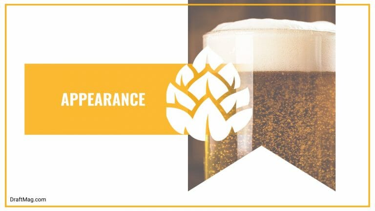 Colt 45 Beer Review: A Close Look at America’s Top Malt Liquor