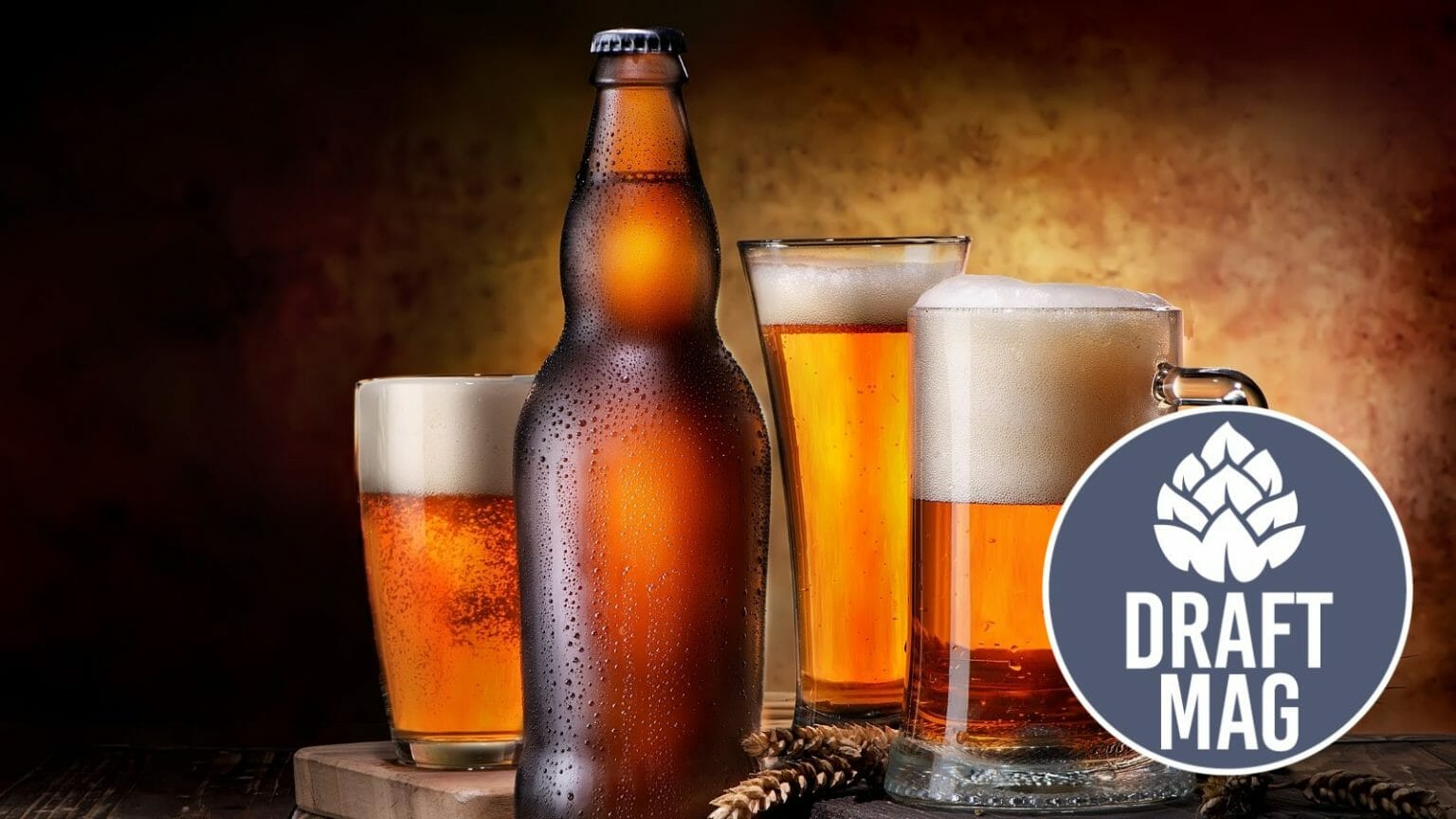 Tropical Beer Hug Review: A Close Look at This Tropical Imperial IPA