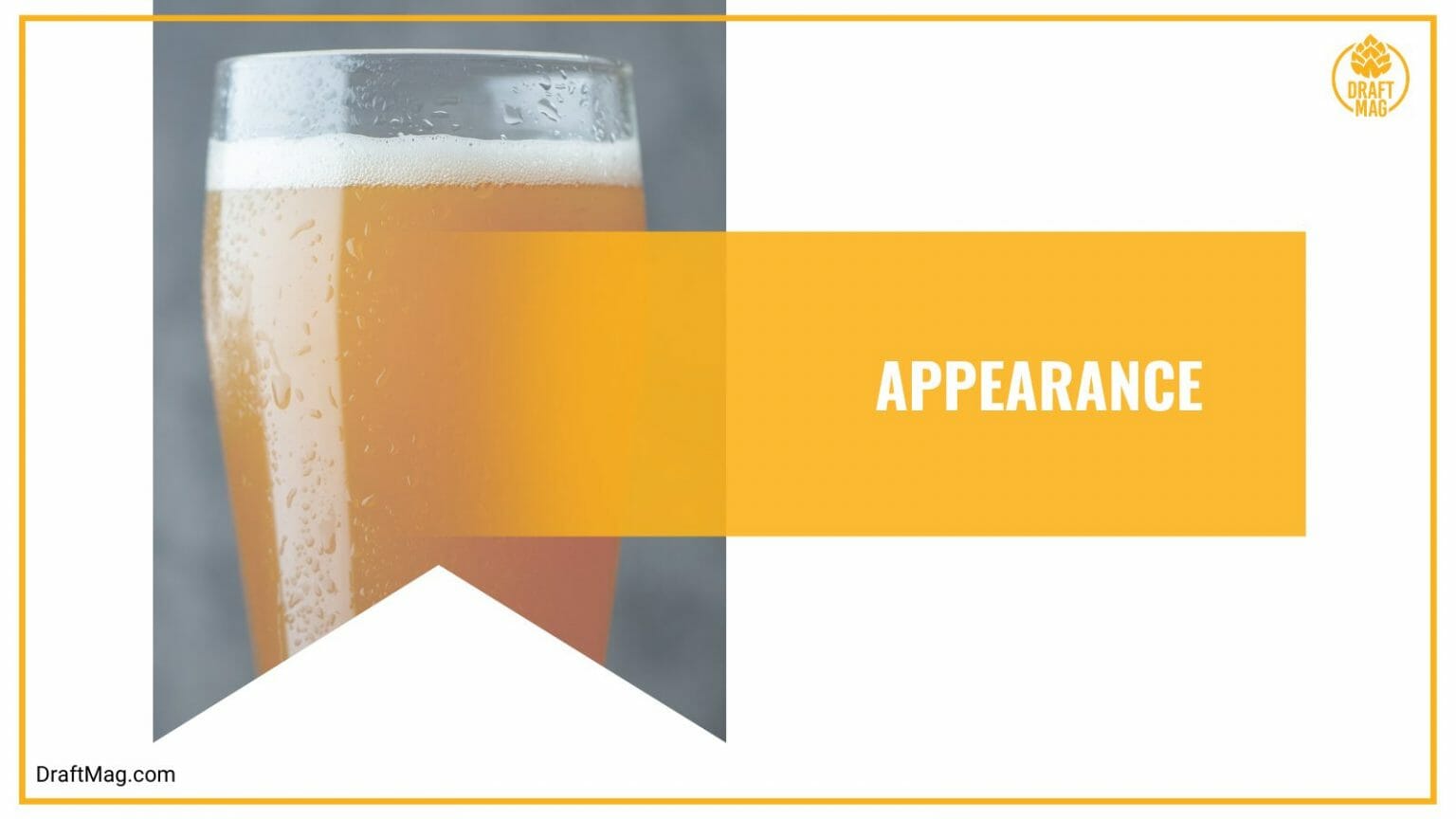 Mangolorian Review: A Delicate Mango-Flavored Fruit Ale