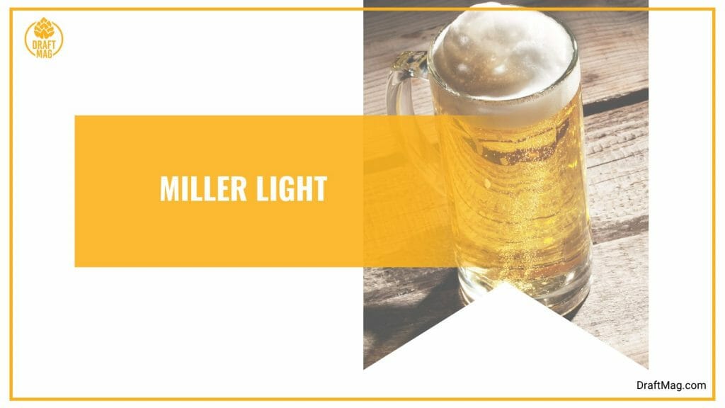 High Alcohol Low Calorie Beer: The Best Guilt-free Beers