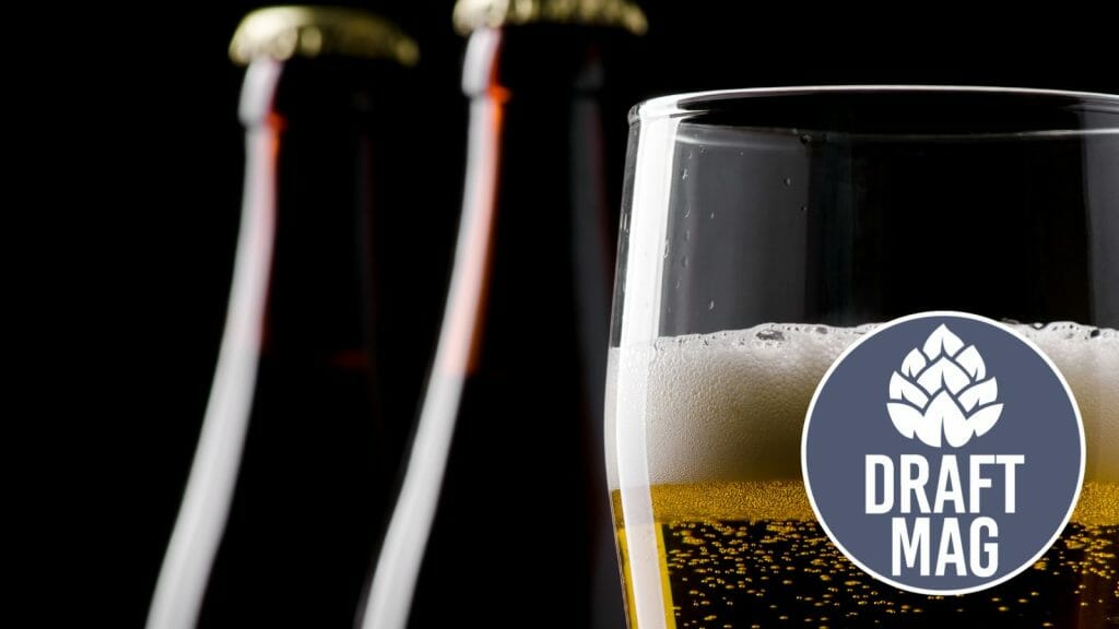 Bodhizafa IPA Review: An Award-winning Fruity and Hoppy IPA