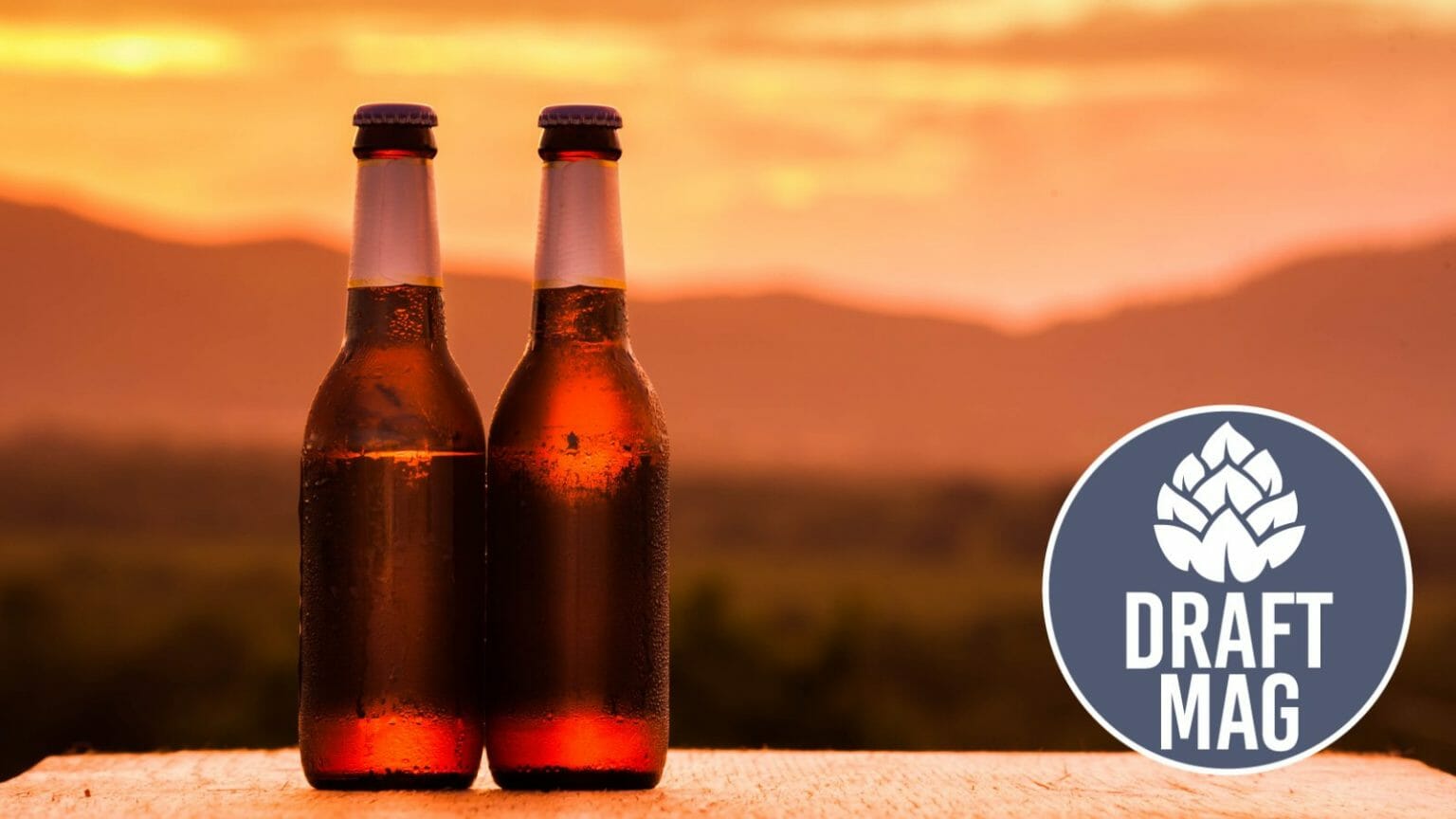 Modelo Limon Y Sal Review: Try This Smooth, Lime-flavored Beer