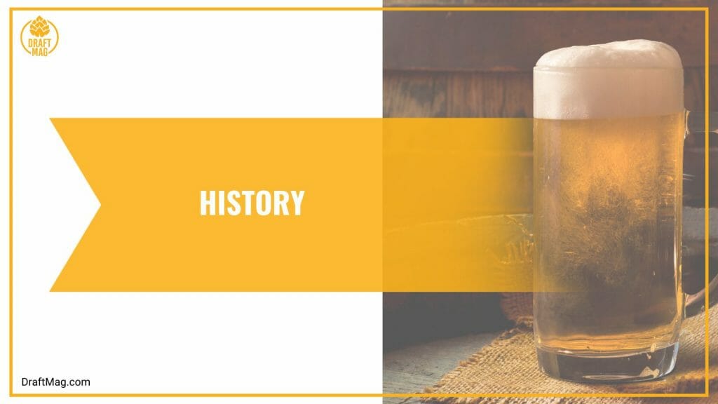 Daura Damm Review: Try This Expert-Recommended Spanish Beer