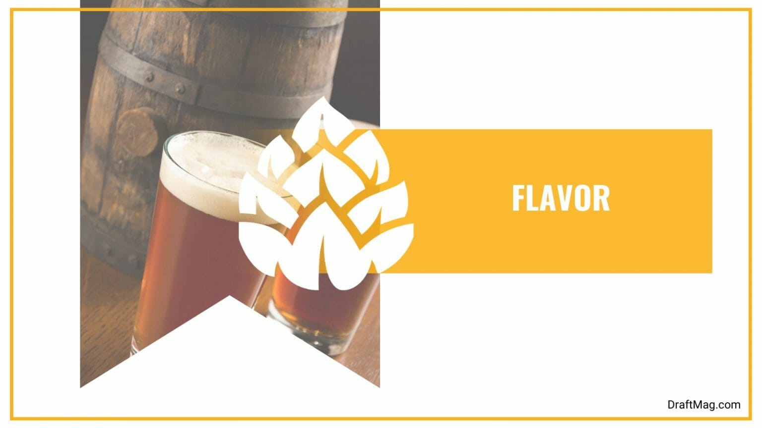 New Glarus Moon Man Review: Bright, Bold and Hoppy Ale - Draft Mag