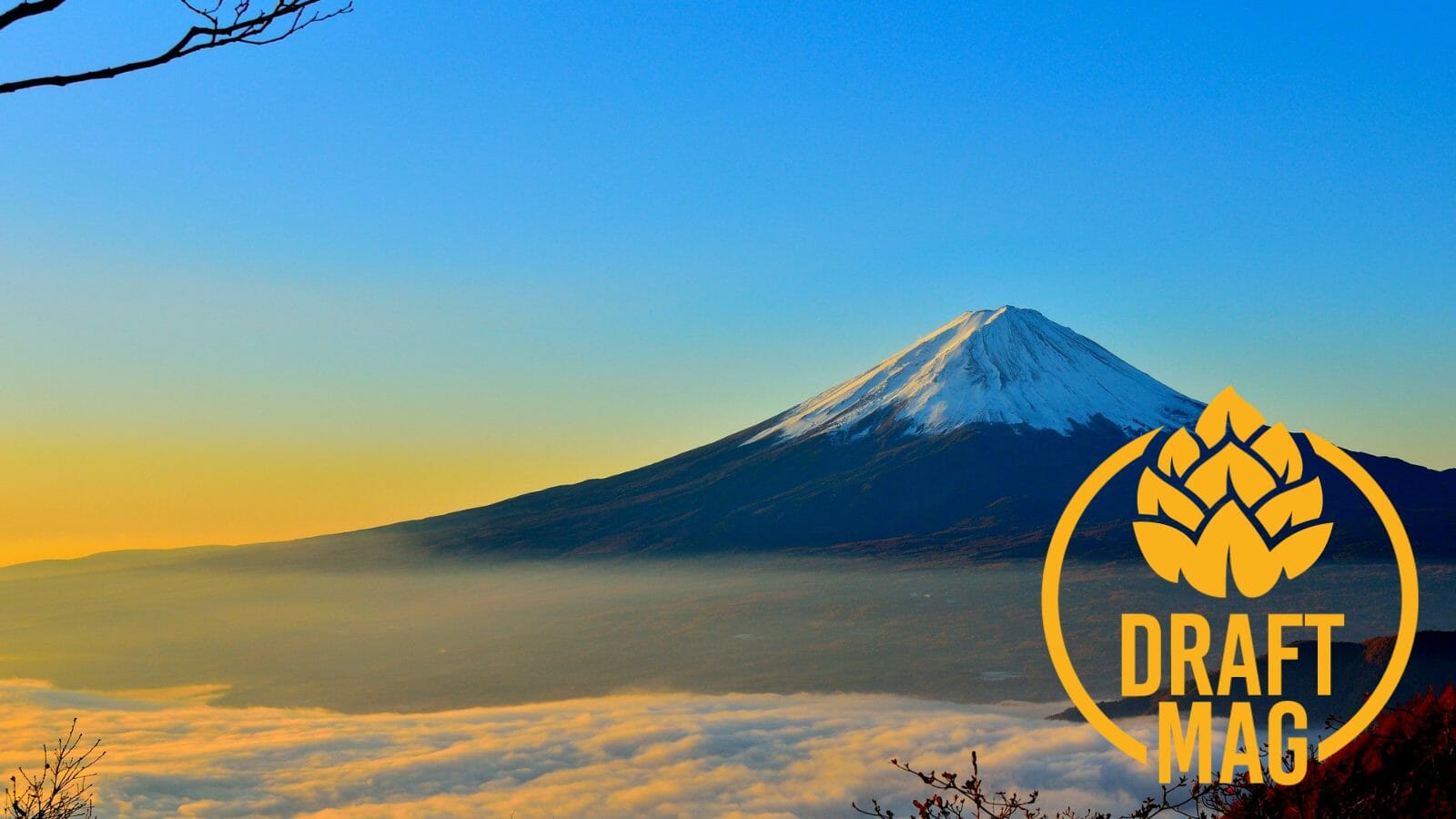 Craft Beer Japan: Distinctive Brews From the Land of Sunrise