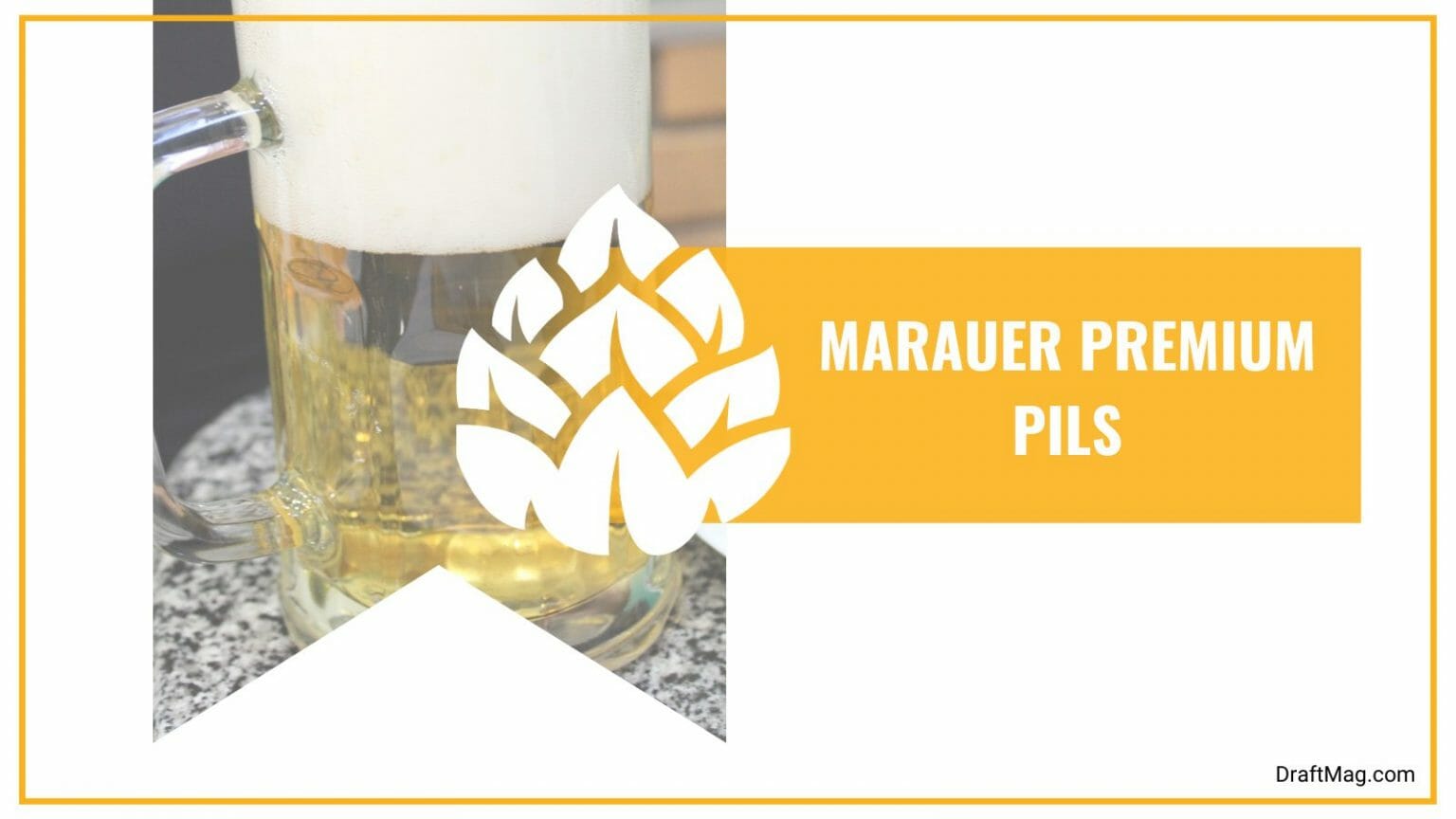 Austrian Beer: A Guide to the Country’s Top-Selling Brews