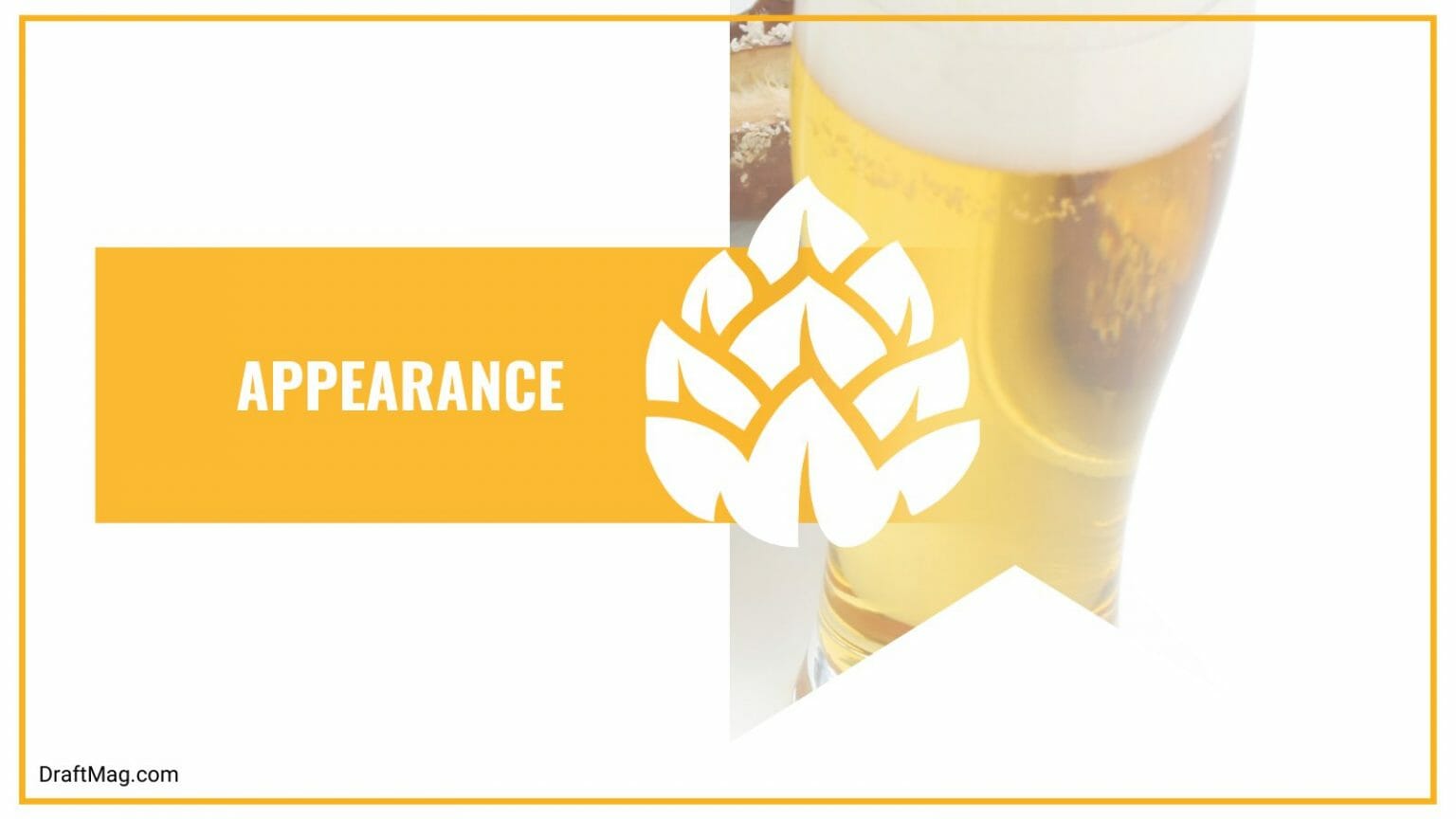 Medalla Beer Review: Complete Guide to This Special Light Lager