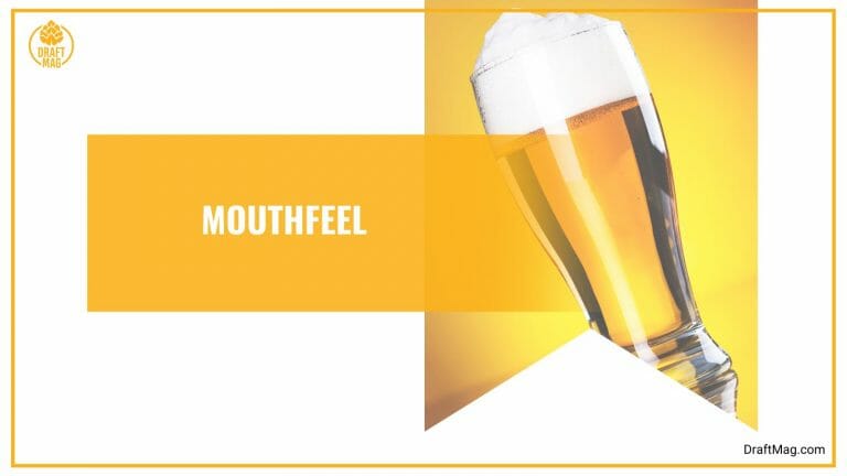 Modelo Naranja Picosa Review: Chelada Bursting With Oranges - Draft Mag