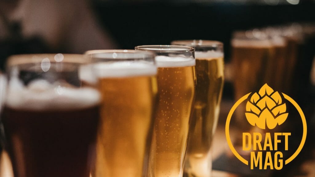 Bodhizafa IPA Review: An Award-winning Fruity and Hoppy IPA