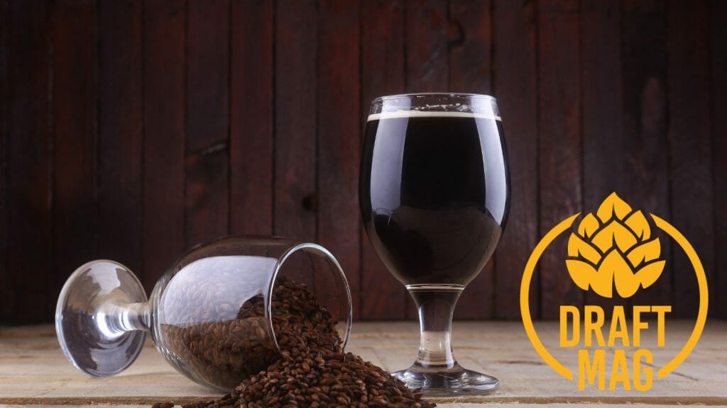 Electric Jellyfish IPA: A Review of the Top Beer for All Hop Heads