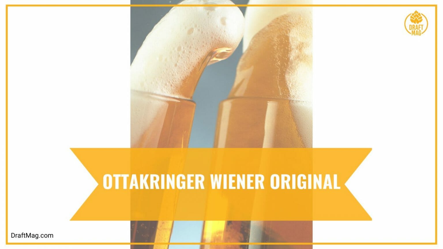 Austrian Beer: A Guide to the Country’s Top-Selling Brews