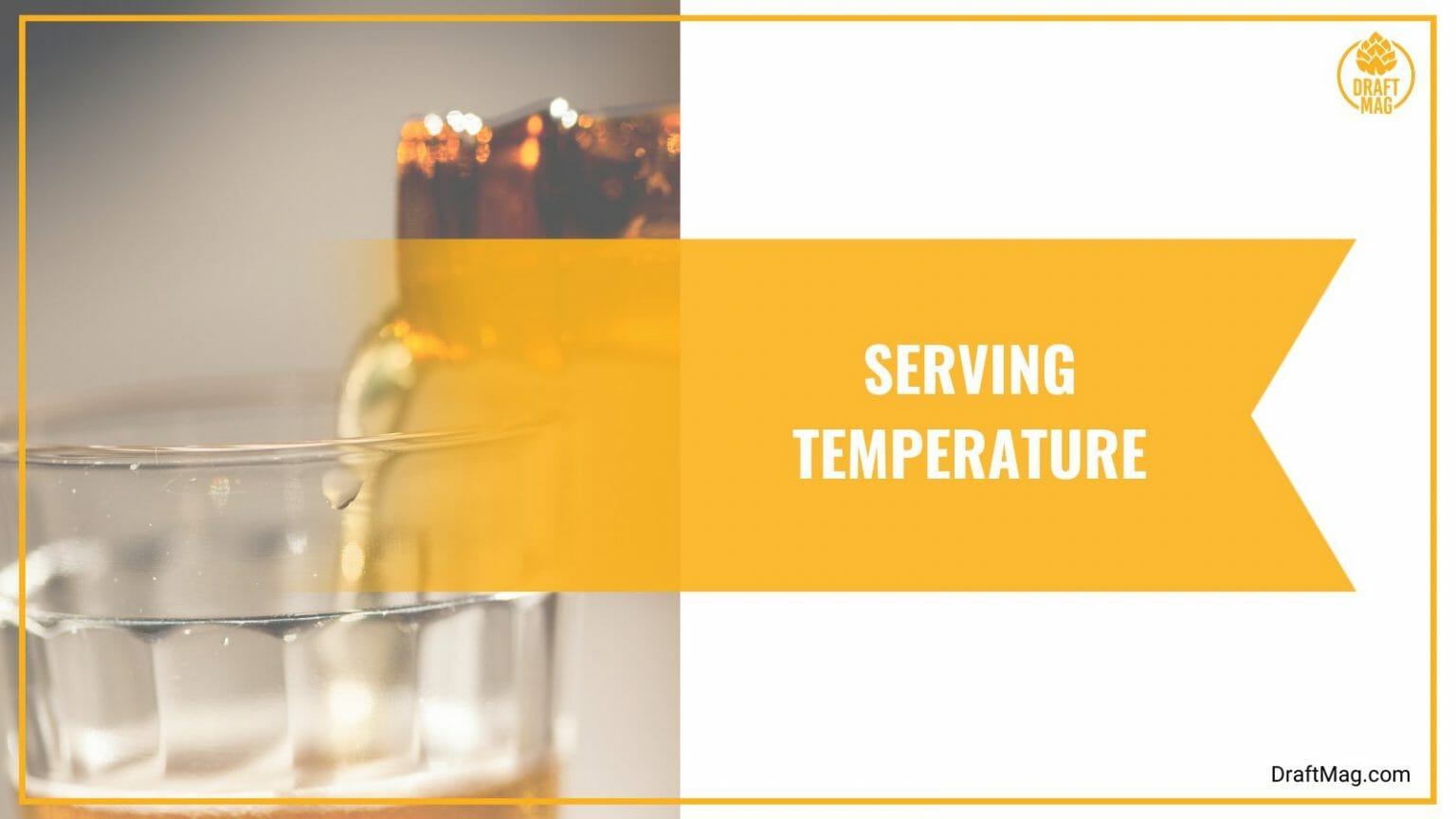 What Kind of Beer Is Peroni? All About the Pale Golden Beer