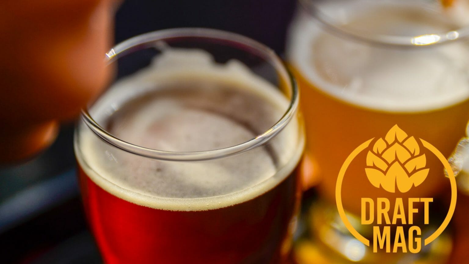 Natty Daddy Beer: A Review of This Malty Light Beer From AB InBev