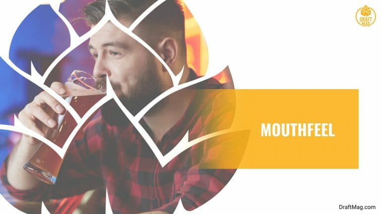 Princess Yum Yum Review: Refreshing and Tart Raspberry Beer