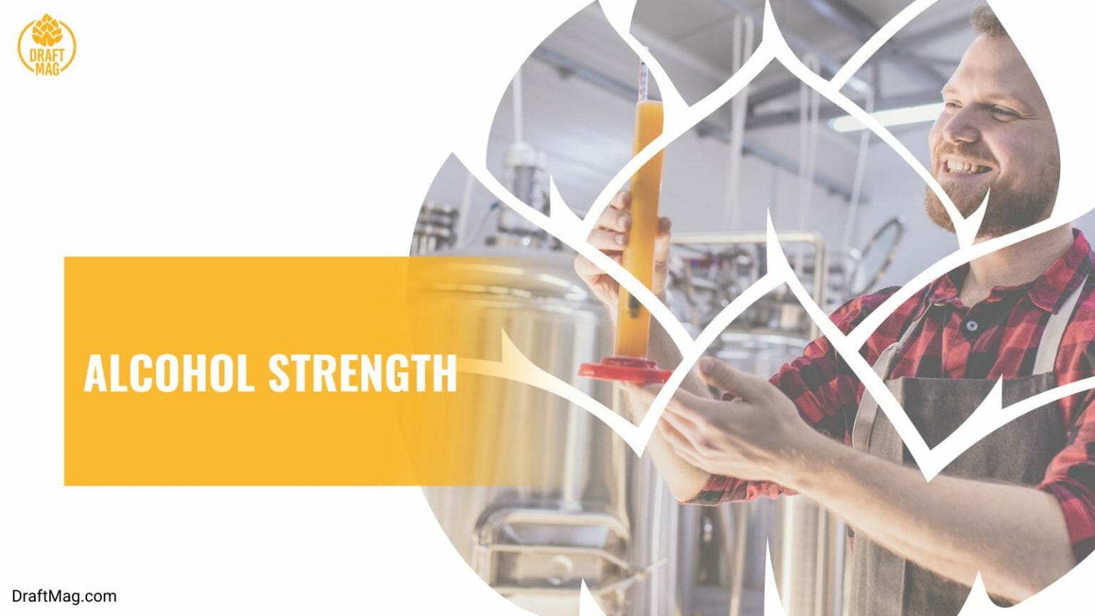 What Is a Session Beer? Everything You Need To Know