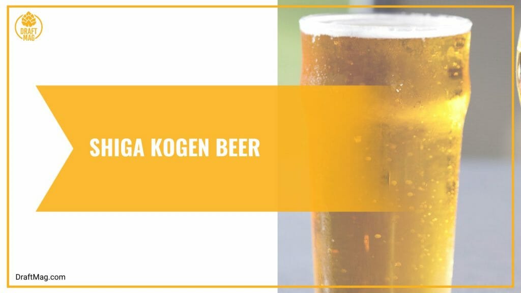 Craft Beer Japan: Distinctive Brews From the Land of Sunrise