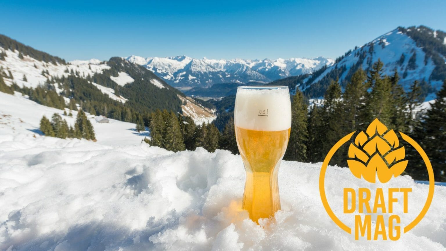 Modelo Chelada Review: Should You Try This Popular Specialty Beer?