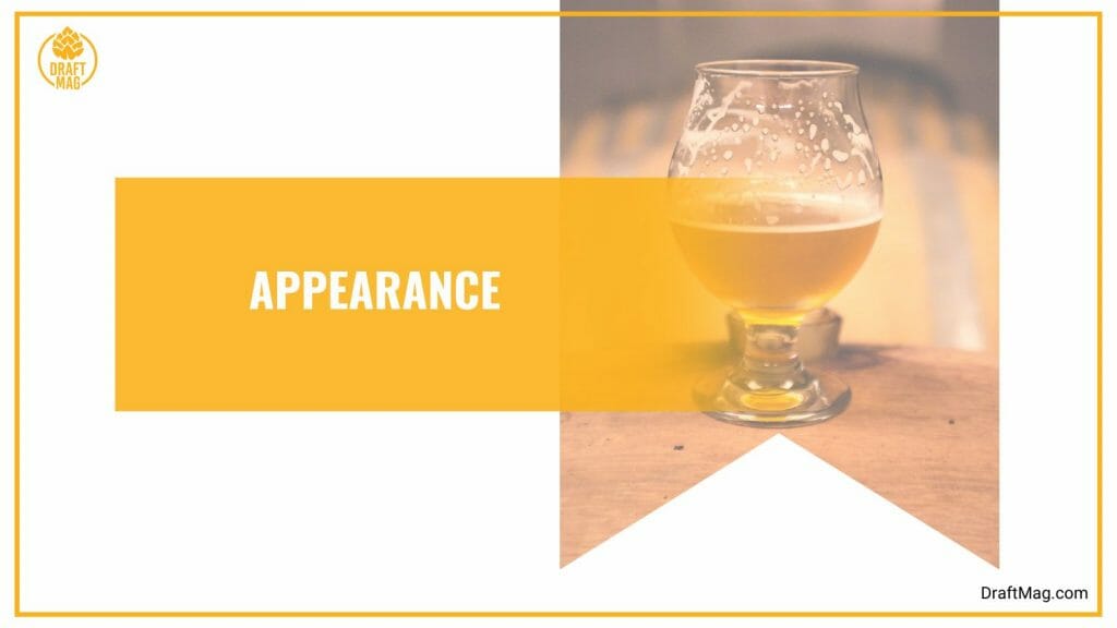 Silver Bullet Beer: Revealing the Secret Behind the Name