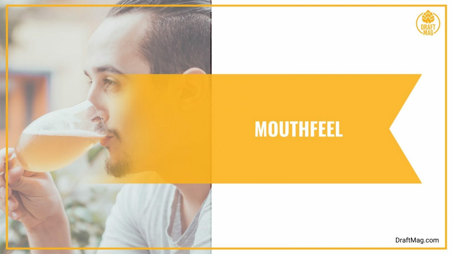 Silver Bullet Beer: Revealing the Secret Behind the Name