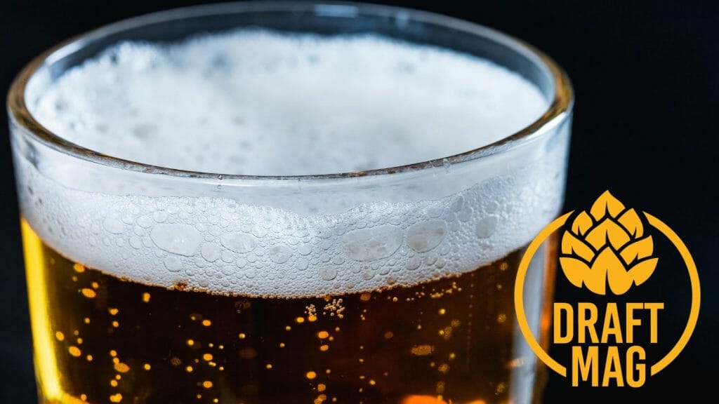 Rice Beer Brands: 13 of the Best-selling Rice Brews in the Market