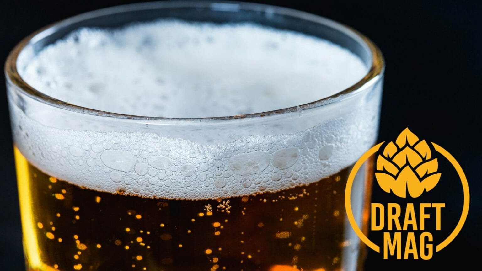 Fiddlehead IPA Review: Why You Can’t Get Enough Of This Vermont IPA