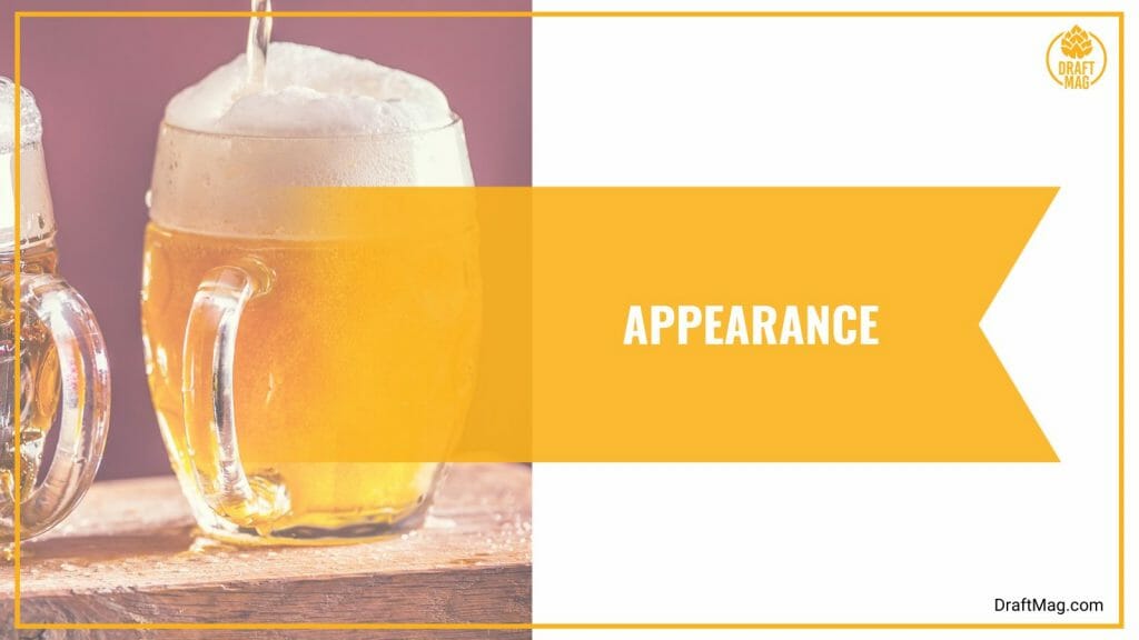 Southern Tier IPA Review: An Old-School, Classic IPA