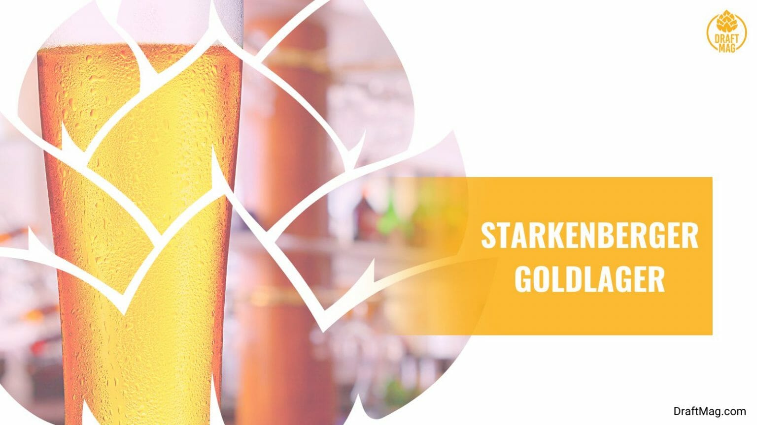 Austrian Beer: A Guide to the Country’s Top-Selling Brews