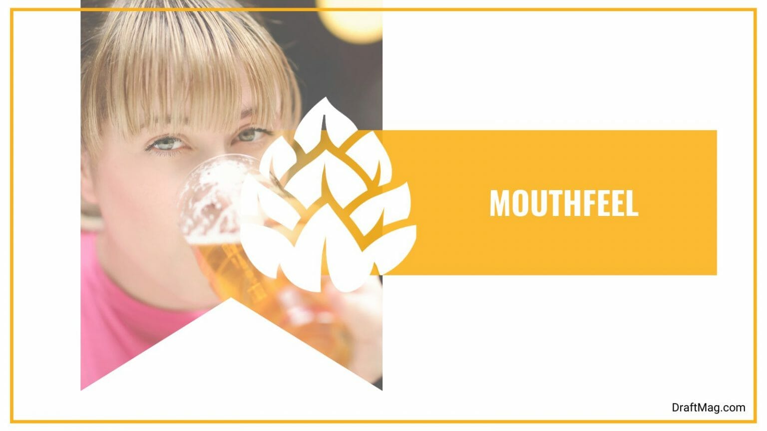 Medalla Beer Review: Complete Guide to This Special Light Lager