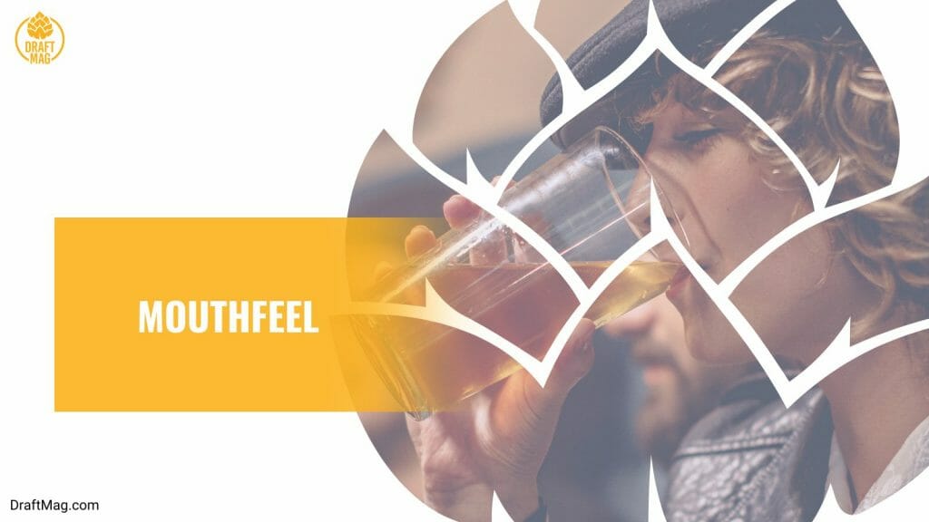 Magic Hat #9 Beer Review: Everything To Know About This Fruity Beer