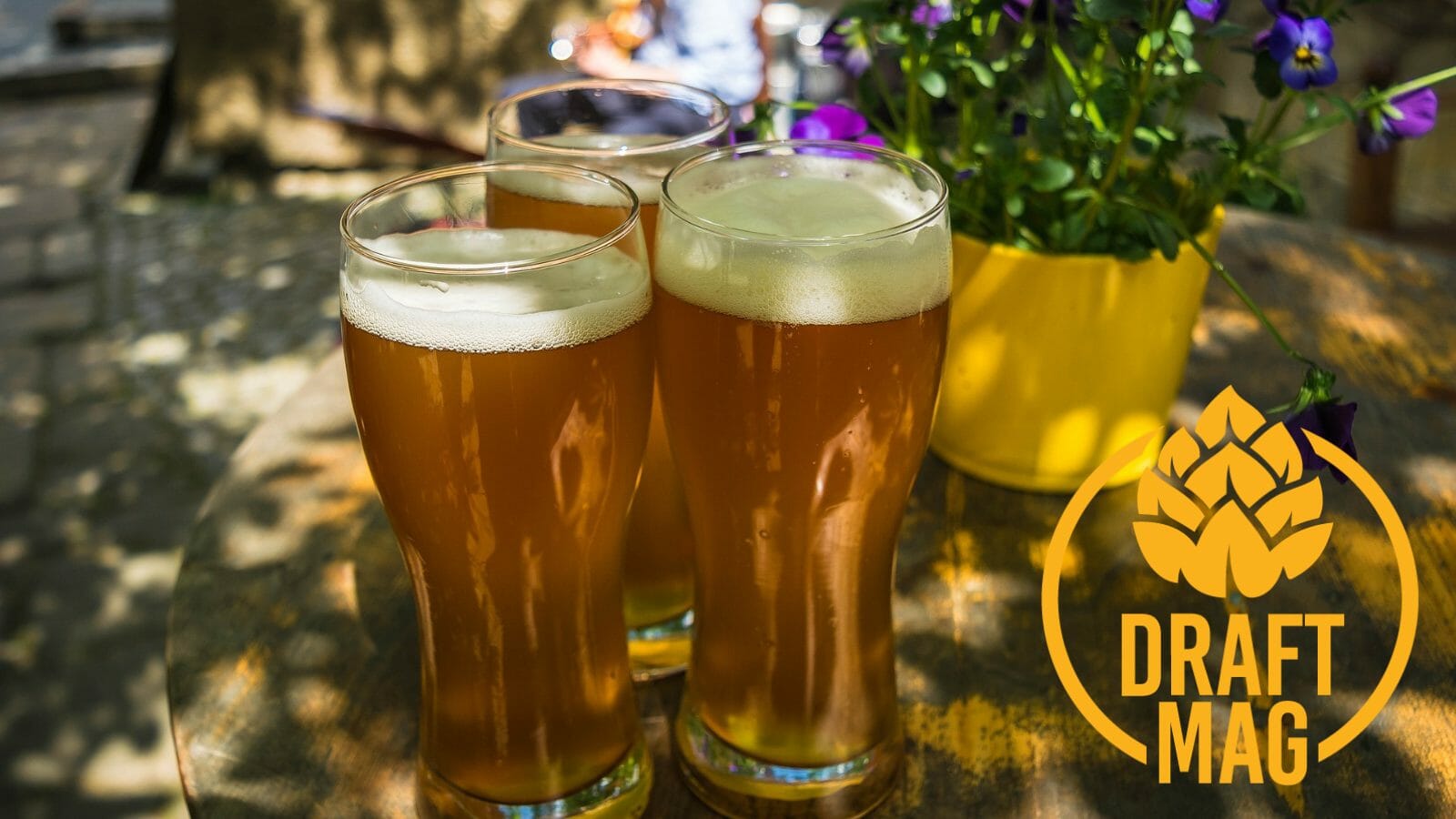 Mangolorian Review: A Delicate Mango-Flavored Fruit Ale