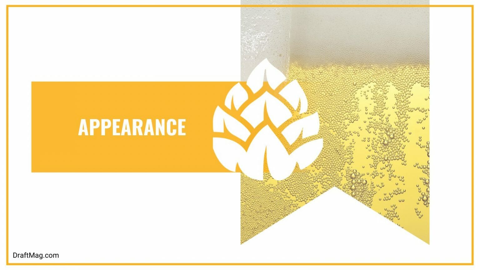 Orion Beer Review: What You Should Expect From This Japanese Lager