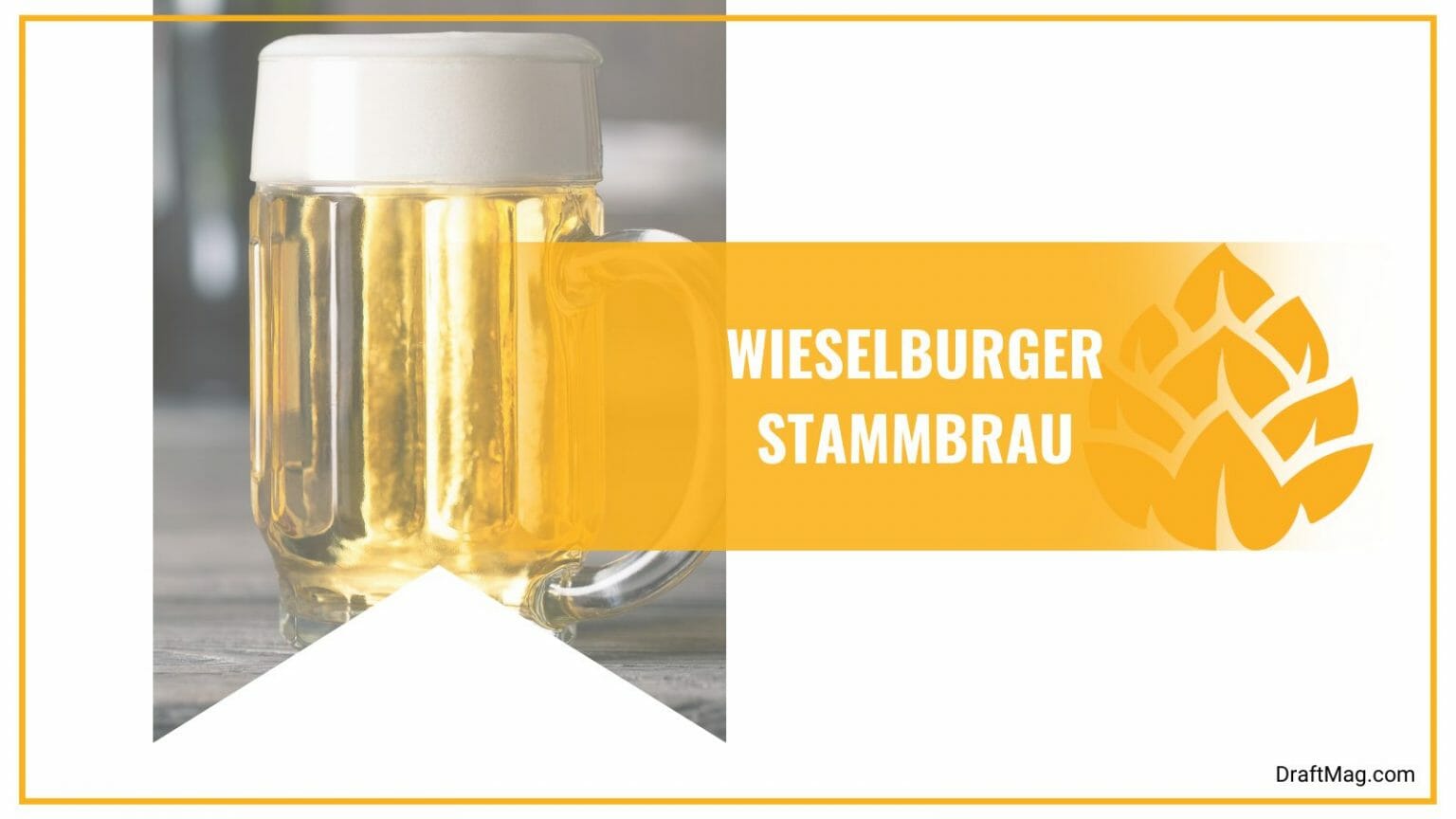 Austrian Beer: A Guide to the Country’s Top-Selling Brews